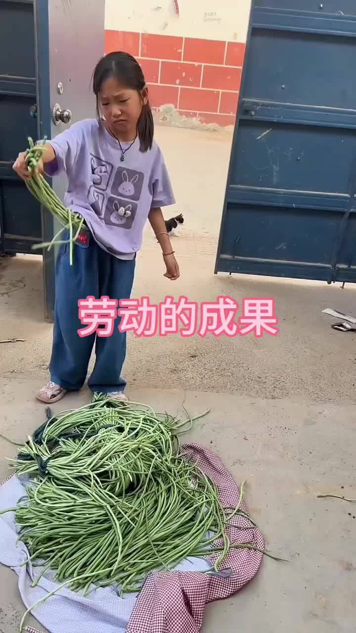 这应该就是劳动的成果吧