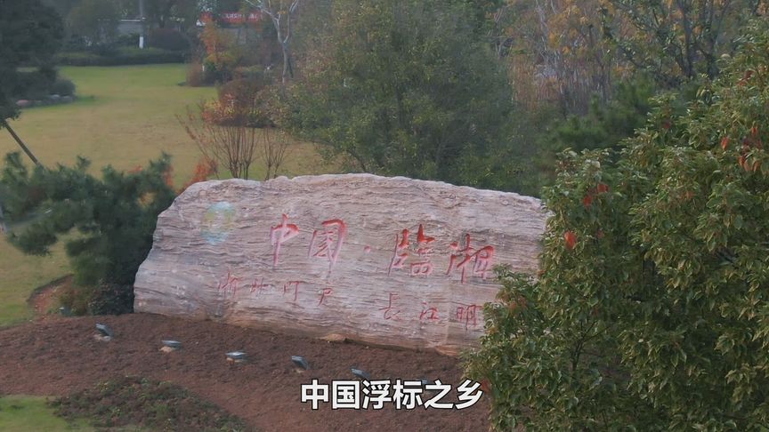 群强致富奔小康!#基层社会治理 #社会治理网格员