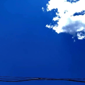 地盐高中历史 