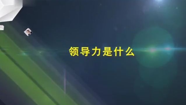 什么是领导力?一个企业的核心就是领导,如何将领导力展现出来.