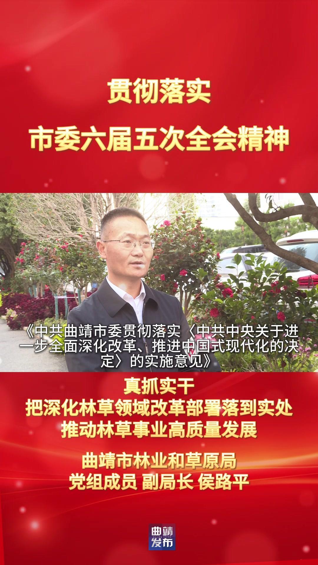 ...推动林草事业高质量发展--曲靖市林业和草原局党组成员副局长侯路平