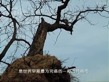 【中国钱币史话】第七集 纸钞的贬值弱点 鸦片战争前后的世界银元沉浮