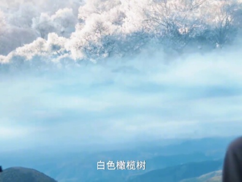 白色橄榄树:宋冉醉酒写下李瓒名字还画了爱心圈起来