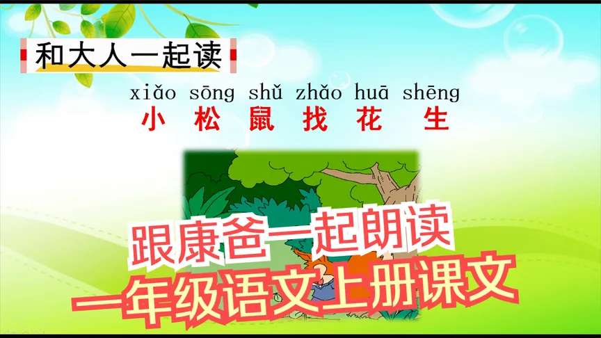 【跟康爸一起朗读】《小松鼠找花生》一年级语文课文#西瓜爸爸帮#