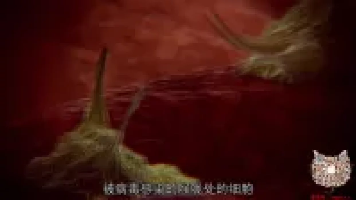 免疫细胞与病毒的战争!