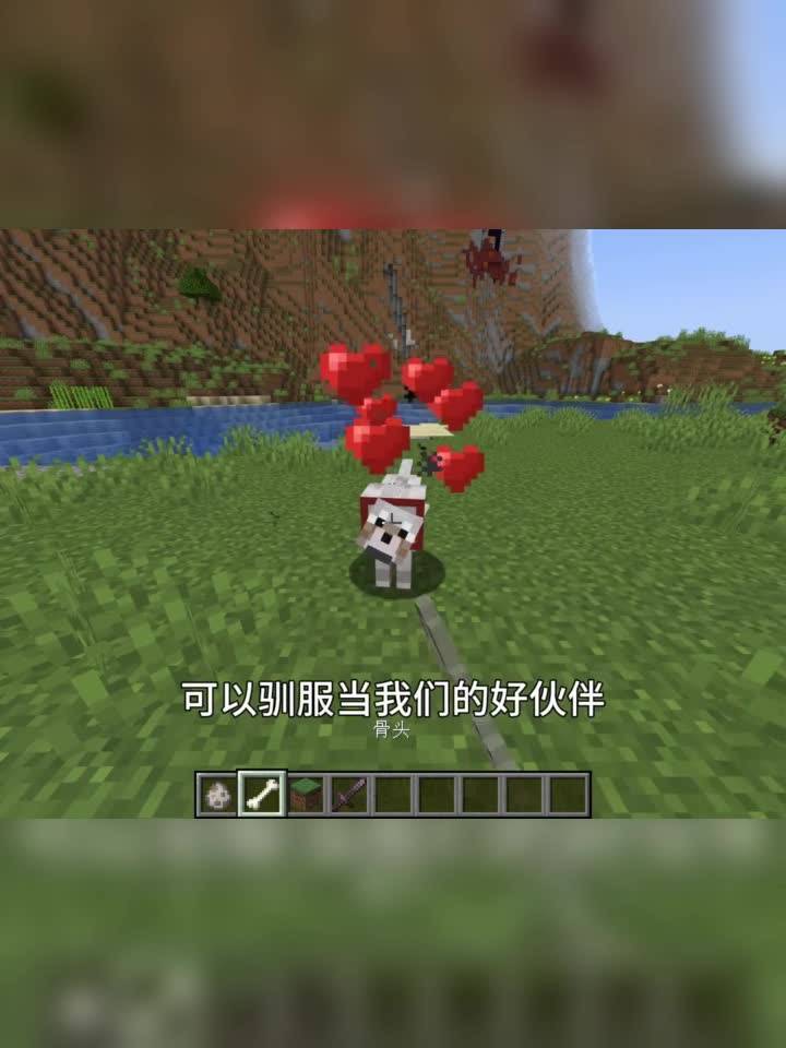 我的世界:更新后的狼,遇到玩家会变什么样?