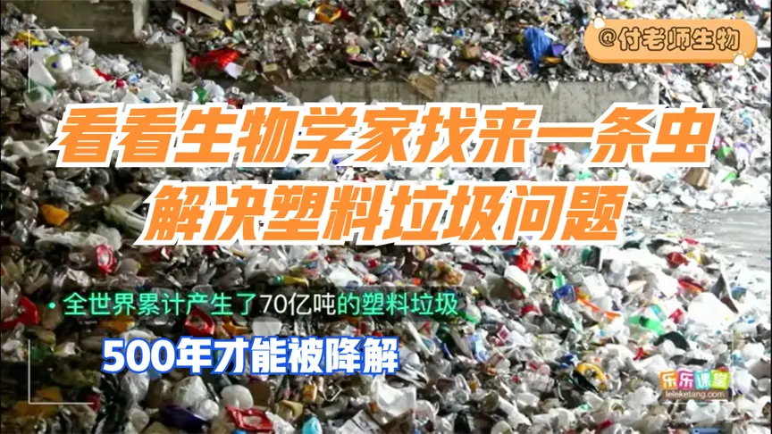 动物可以促进生态系统中的物质循环8.1.21动物在生态系统中的作用