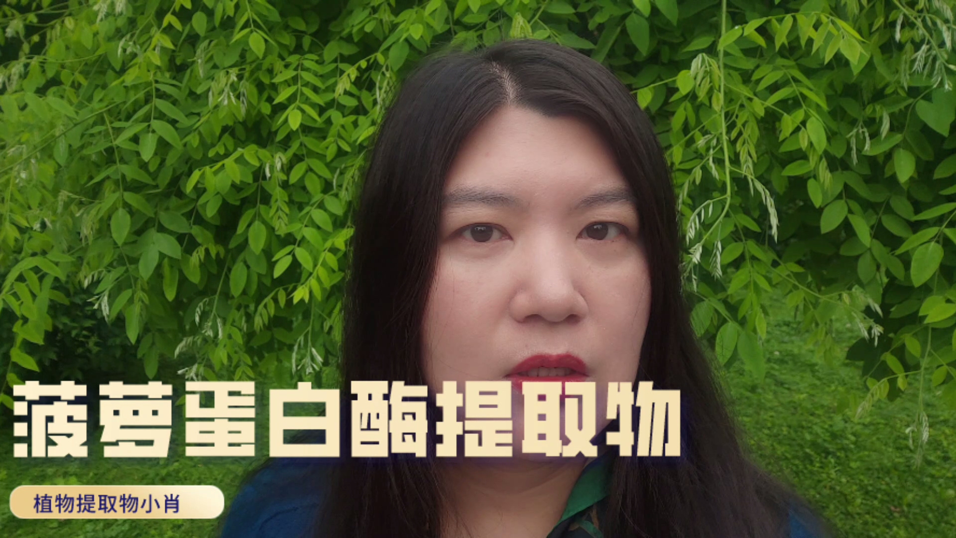 菠萝蛋白酶提取物