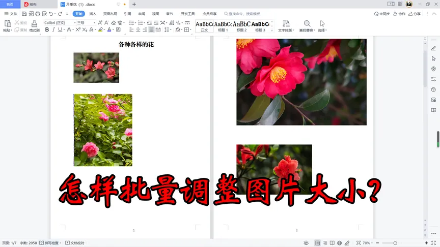 WPS文档怎样批量调整图片大小?两种方式,可一键完成