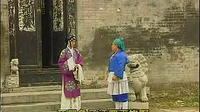 河南坠子回龙传(王华买爹)