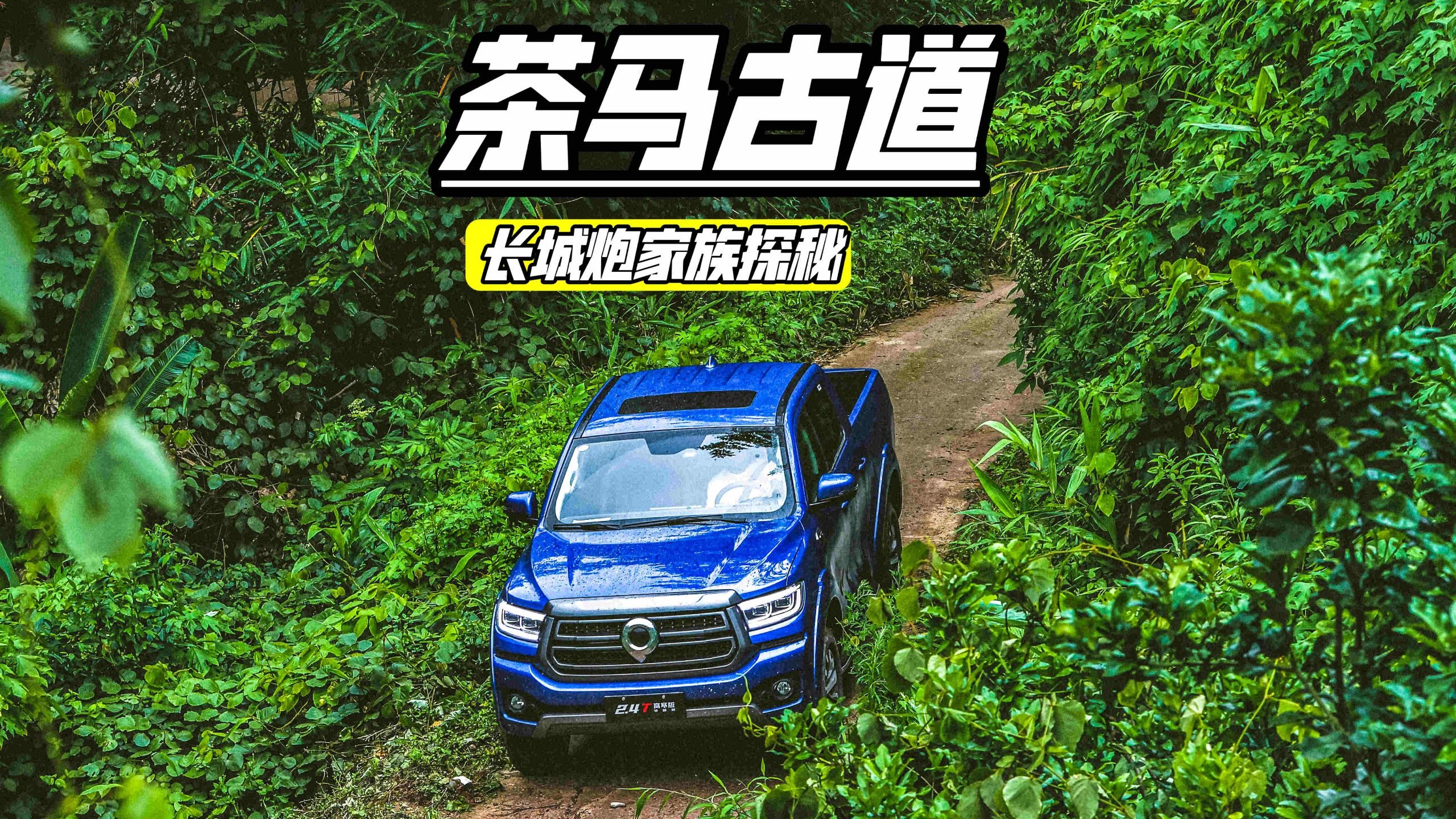 皮卡承载乡土情感 长城炮探秘茶马古道