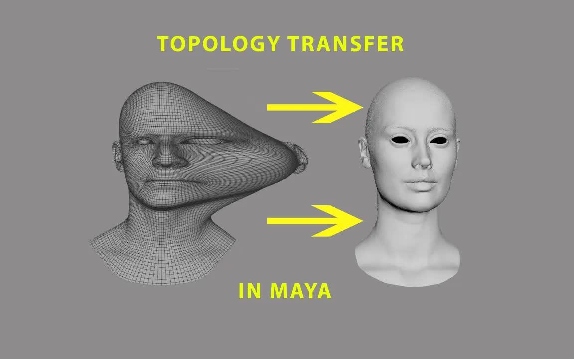iBlender中文版插件Softwrap教程Maya 中的拓扑传输/软包装Blender