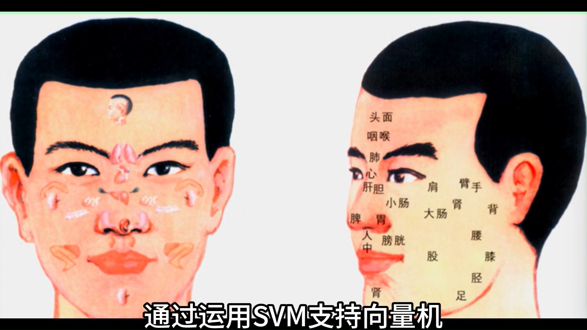 中医面诊检测分析系统 (台车式)