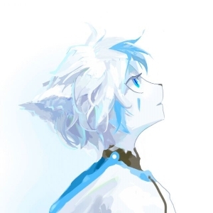 君的小浣熊 