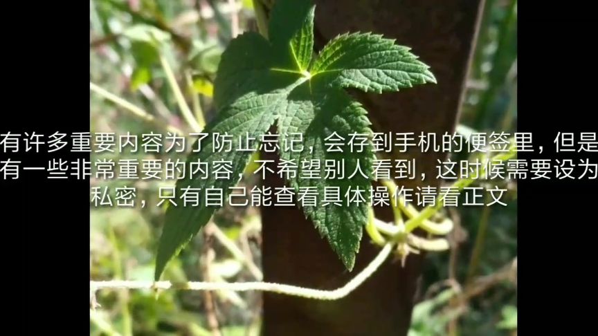 手机怎样把便签内容设为私密