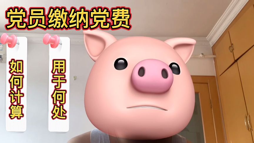 党员同志们,缴纳党费如何计算,用于何处,科普来了