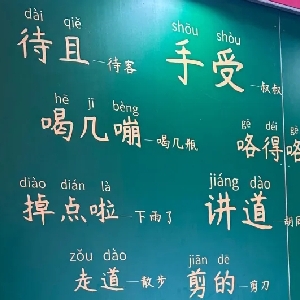 学习中的仙人掌 