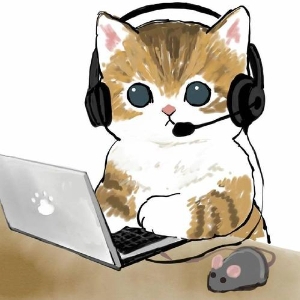GAMER_南桥 