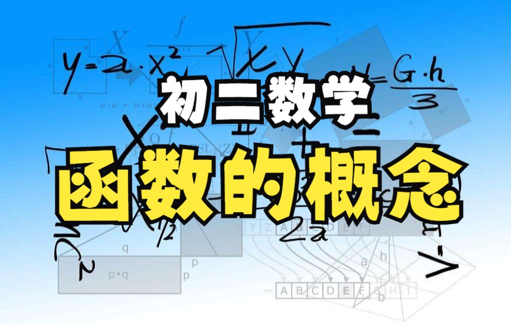 初二数学。 函数的概念定义