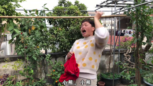 你们考试考了多少分呢小熊孩子害怕妈妈挠脚心结果考试一百分了