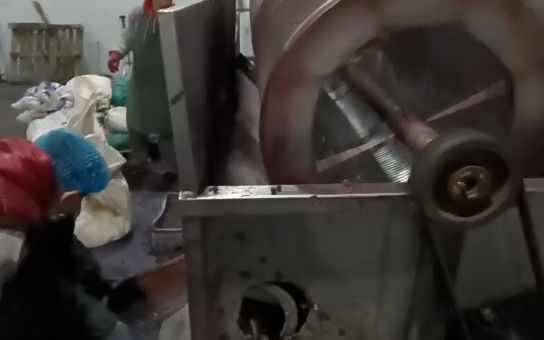 速冻山楂生产线 冰冻草莓生产设备 果蔬速冻生产线 流态化速冻机速冻...
