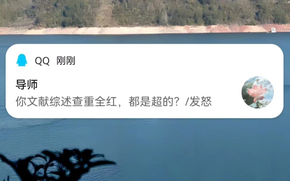 文献综述不会写,导师给的模板直接套用❗️