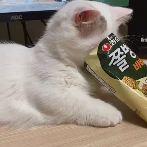 打哈欠的田园喵 