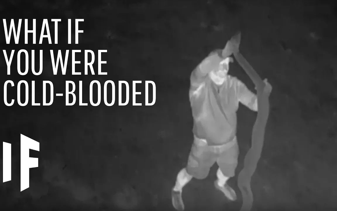 如果人类变成冷血动物会怎样