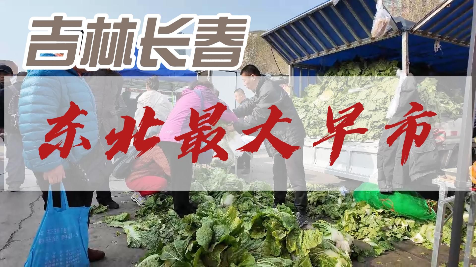 东北最大早市:南方的你绝对没见过!