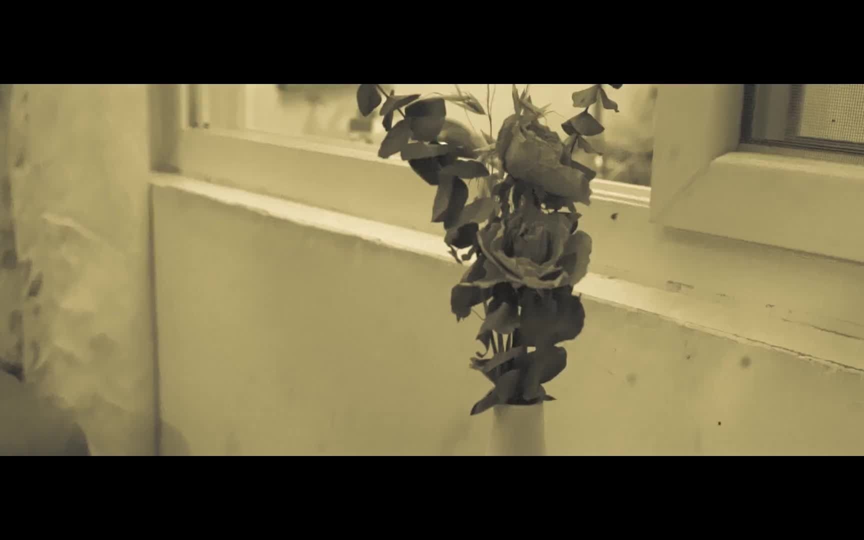 《西地那非》川传学生短片