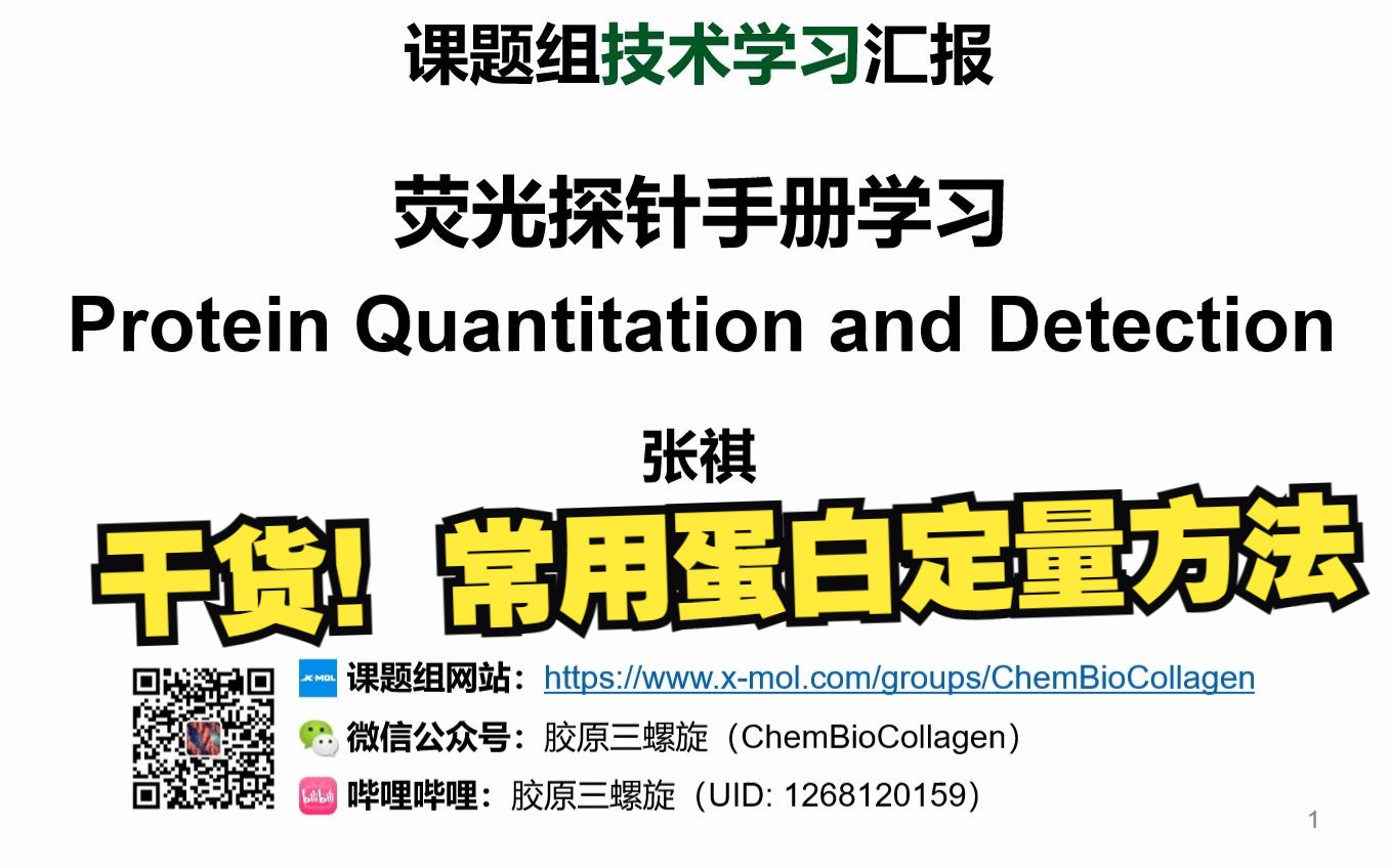 【原理学习】蛋白定量与蛋白检测的方法及原理介绍
