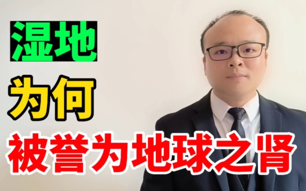 湿地为何被誉为地球之肾,快来看看湿地的作用有多么强大