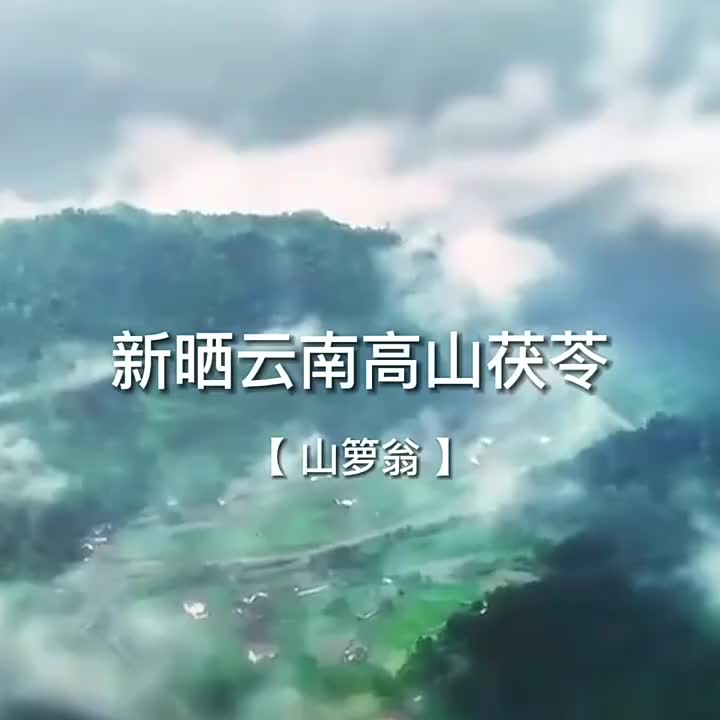 【无硫优级茯苓】云南茯苓块中药材500g包邮伏芩丁非特级芡实干粉