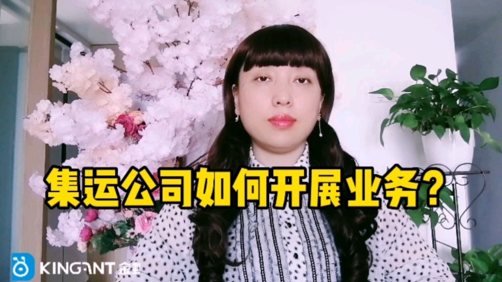 集运公司如何开展业务?