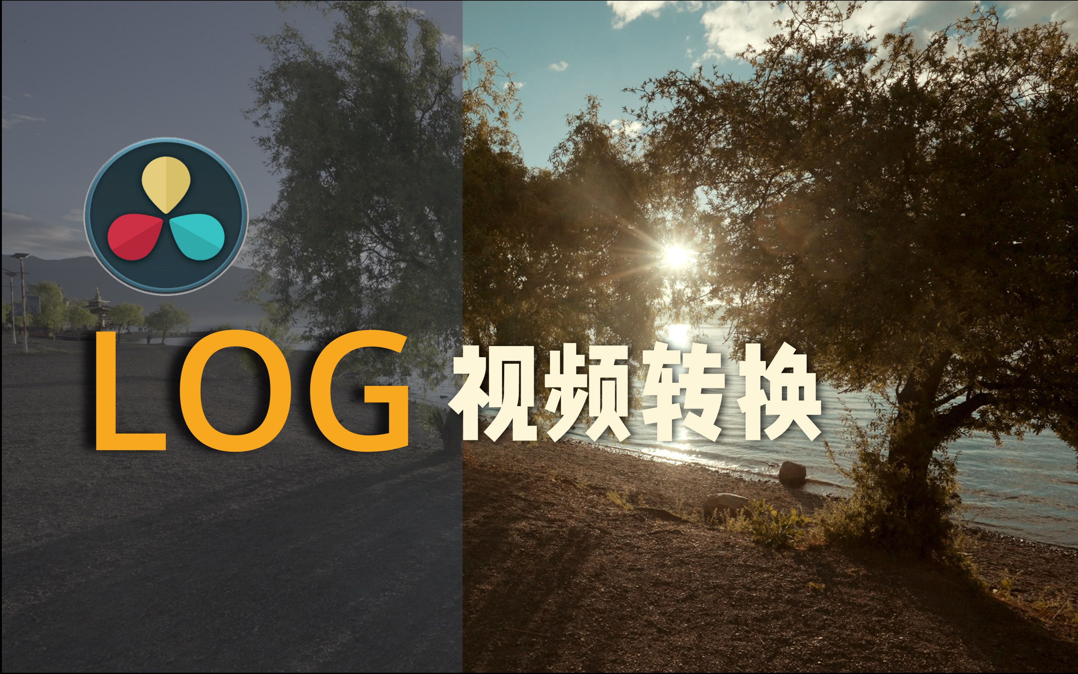 视频调色第一步:达芬奇里LOG视频转换的三种方式