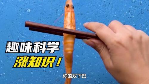 几个简单的儿童科学小实验,亲子互动小游戏,增进亲子感情!