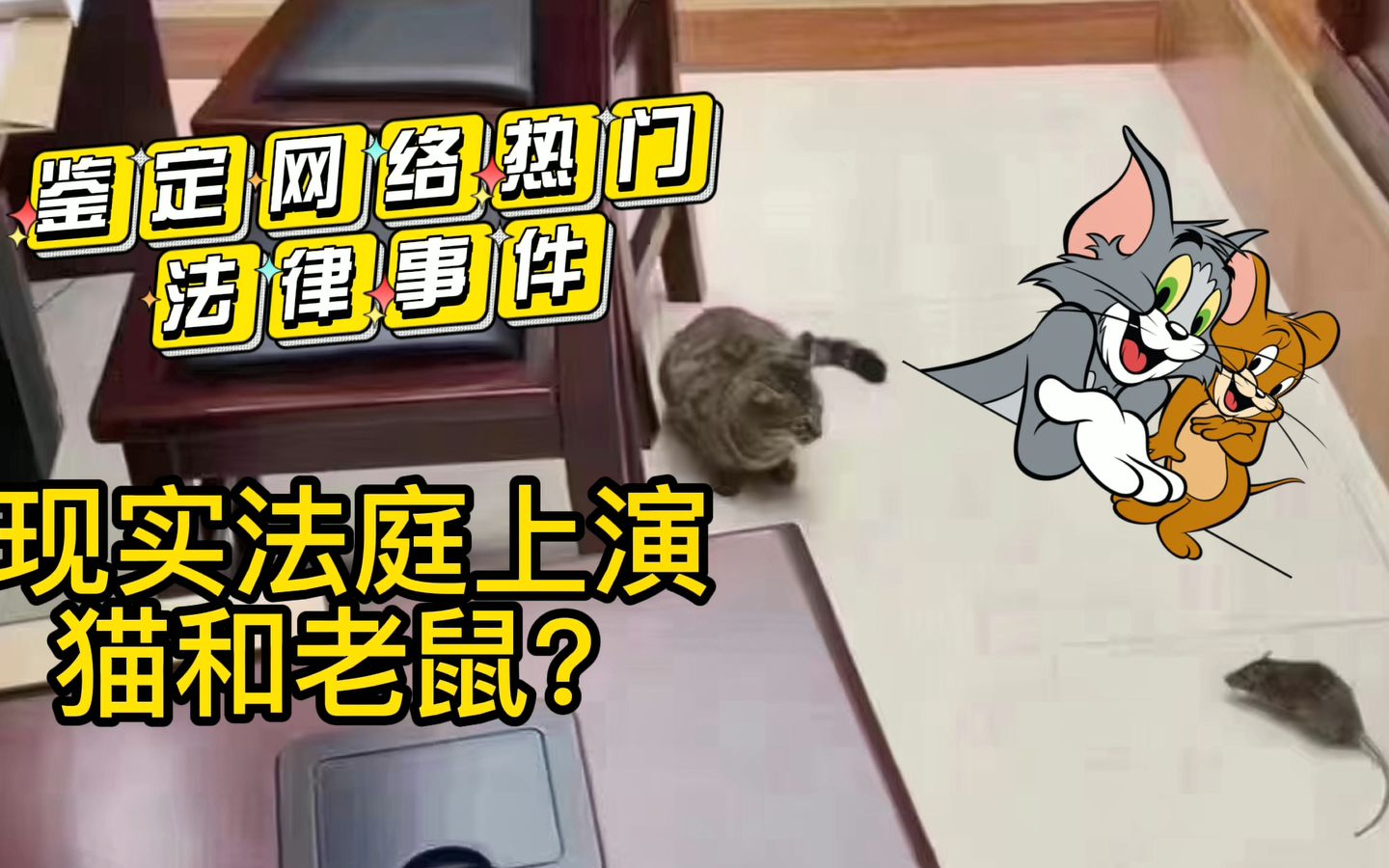 "猫和老鼠"之真实法庭之反转再反转版【鉴定网络热门法律事件】
