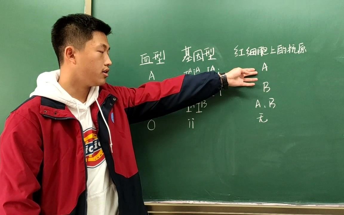 用固相法做血型鉴定试验