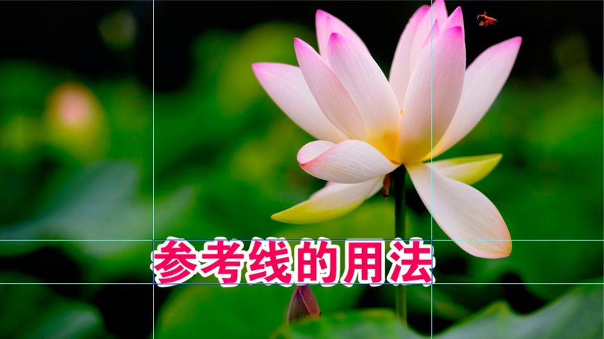 PS里辅助“标尺”“参考线”工具的用法