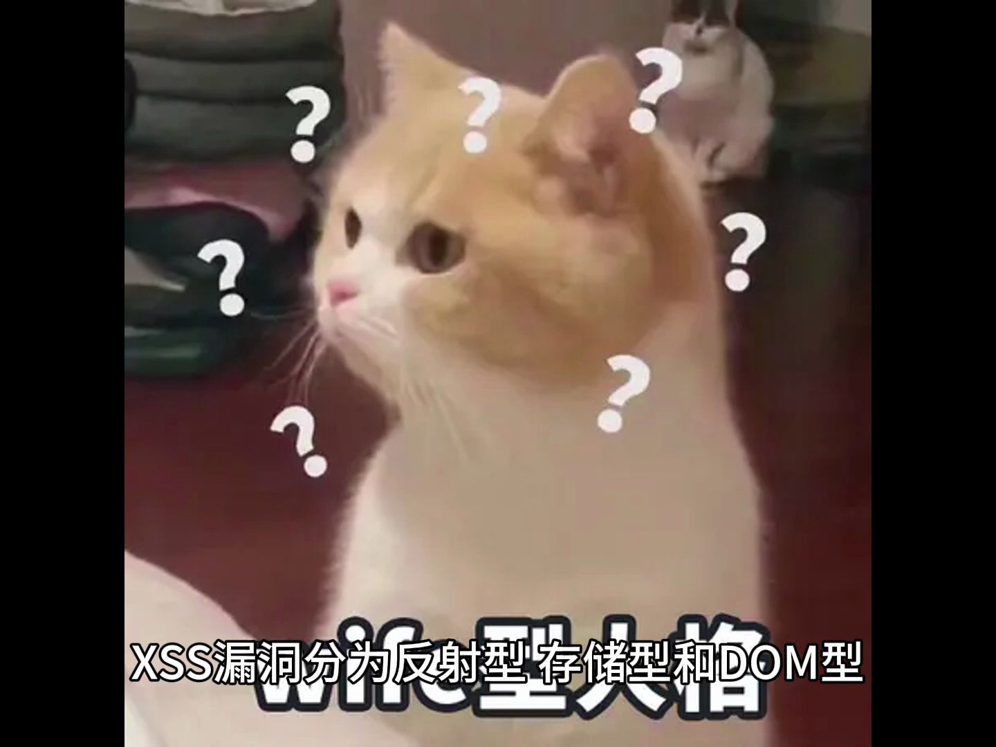 漏洞背后的黑幕:解析XSS攻击的危险并规避风险