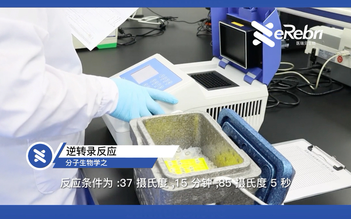 "探秘RNA:逆转录反应全程揭秘"