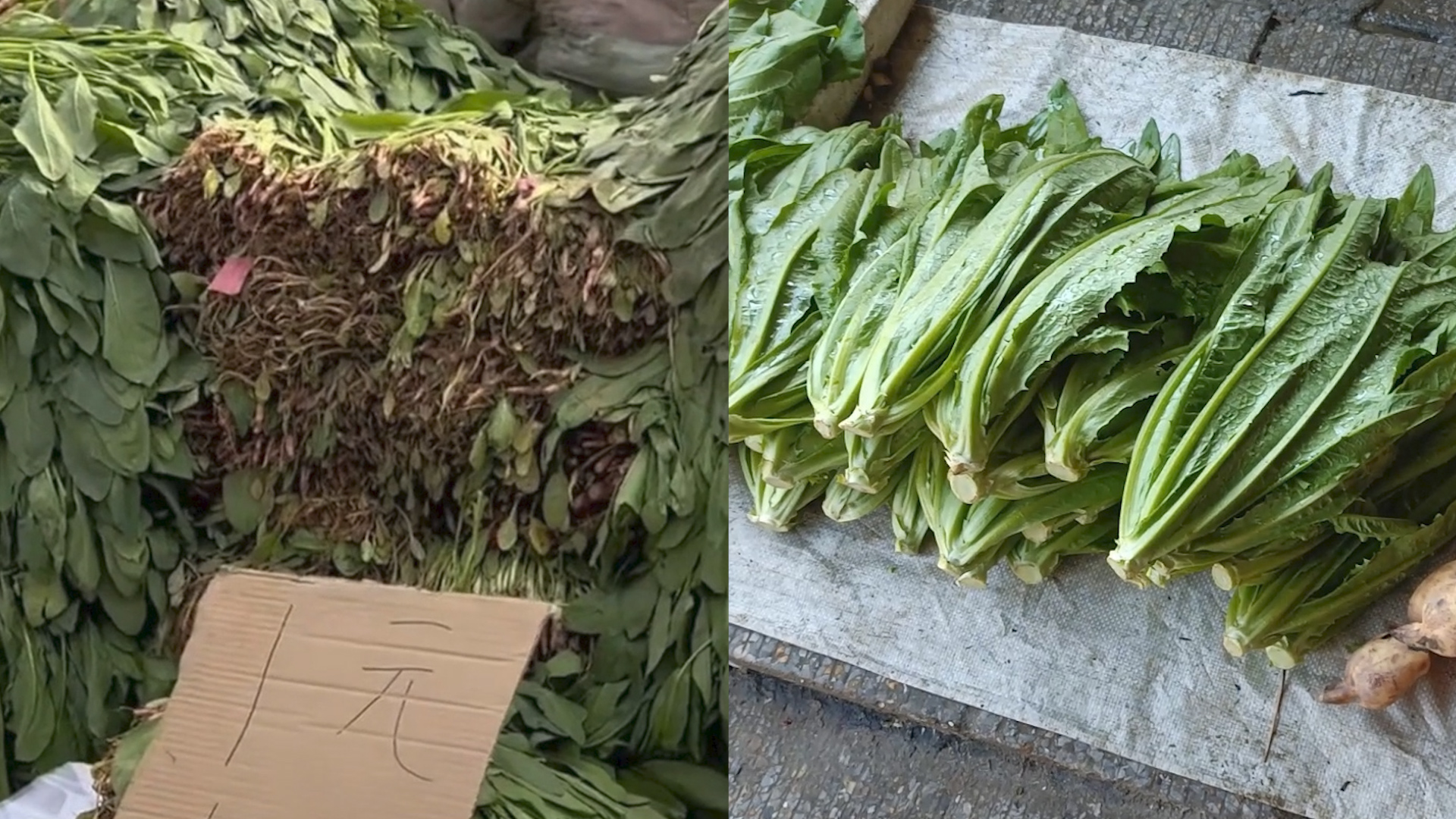 菜农卖菜赚21.05元,因抽检不合格被罚11万,法院:不予强制执行