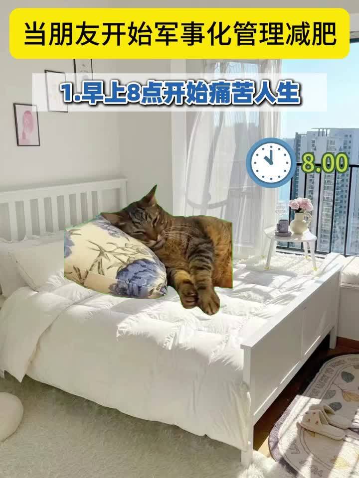 军事化管理身材计划