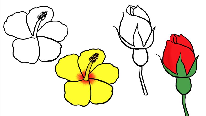 几笔画出玫瑰花、木槿花,适合不会画画的孩子和家长,简笔画教程