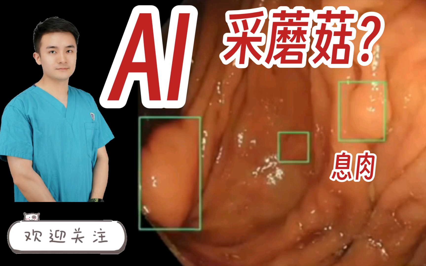 AI技术的最新应用:采“蘑菇”革命的开始!