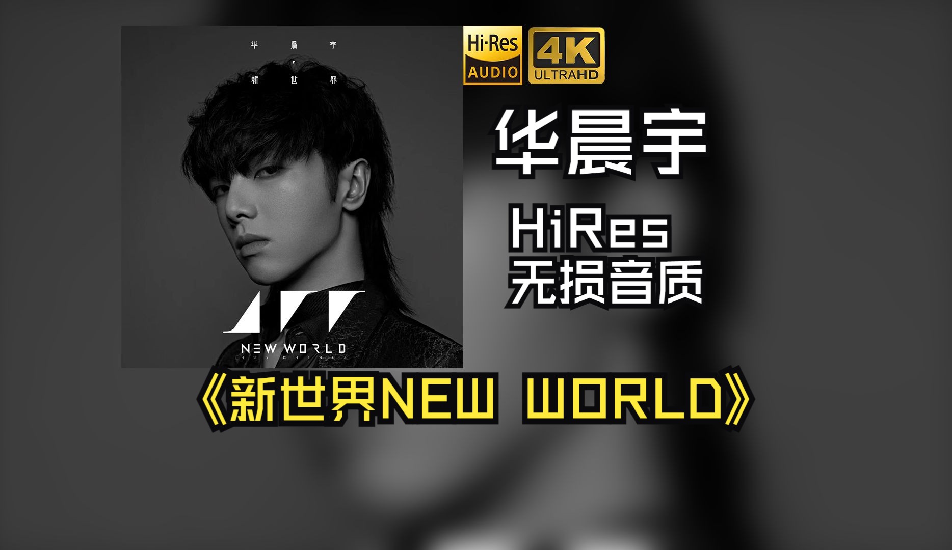 【HiRes 24bit/48khz】华晨宇2020《新世界NEW WORLD》每天音乐...