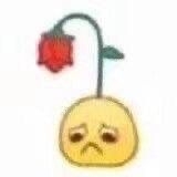 那个憨憨它不敢 