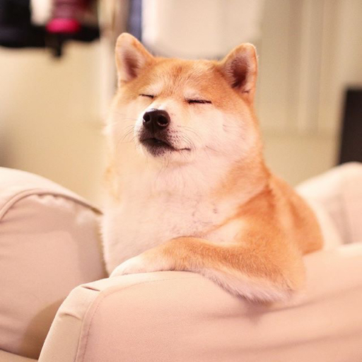 全球球变冷 