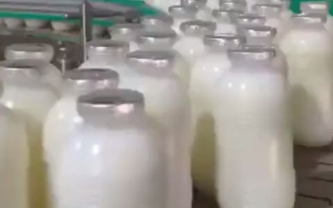 李子园牛奶高温杀菌锅 全自动杀菌锅鼎泰盛