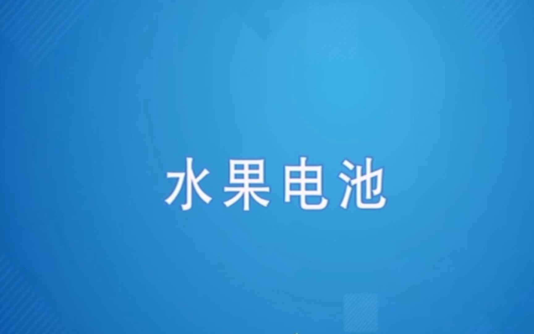 高中化学 电池趣味实验 水果电池
